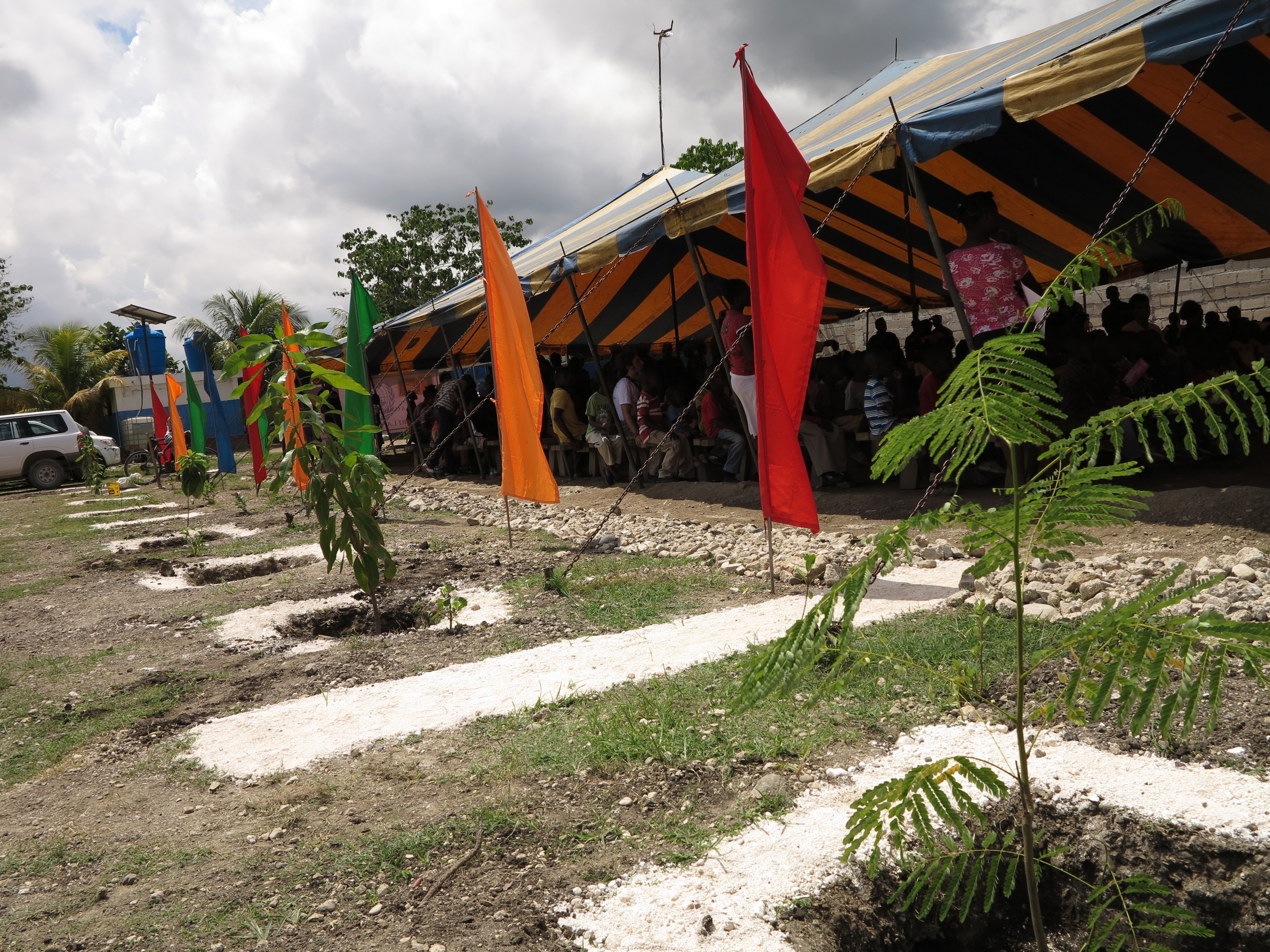 Leogane : Des orphelins initiés au reboisement | MINUSTAH